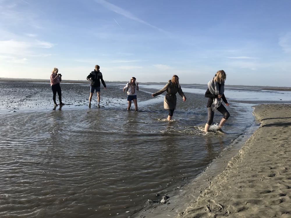 Eropuit: Wadlopen in Friesland - Bijzonder Plekje