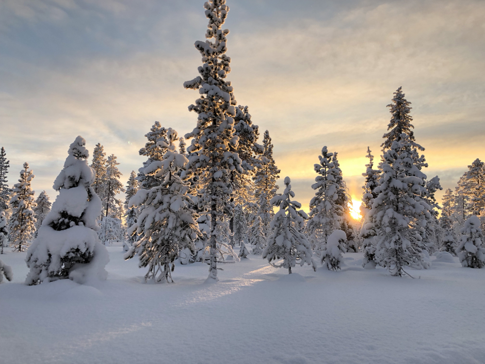 Vakantie Lapland - ontdek onze tips! Bijzonder Plekje