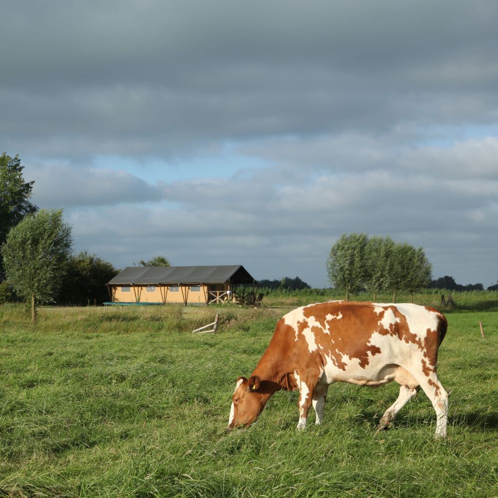 Aan het Diepje - glamping Groningen | Bijzonder Plekje