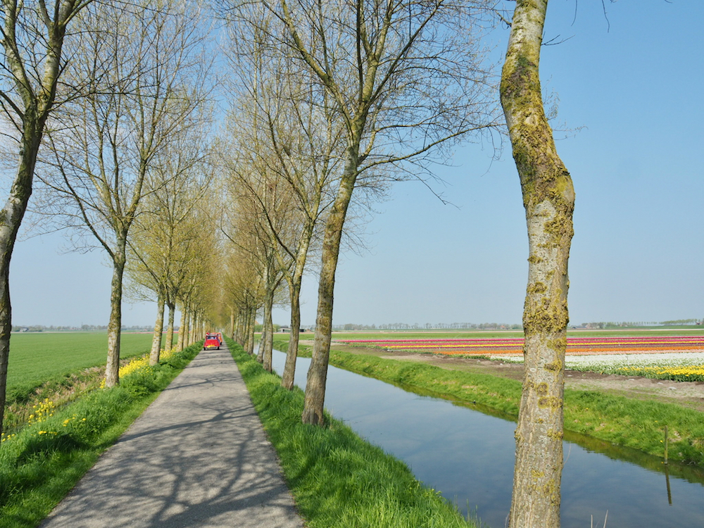 Ontdek: Werelderfgoed UNESCO de Beemster - Bijzonder Plekje
