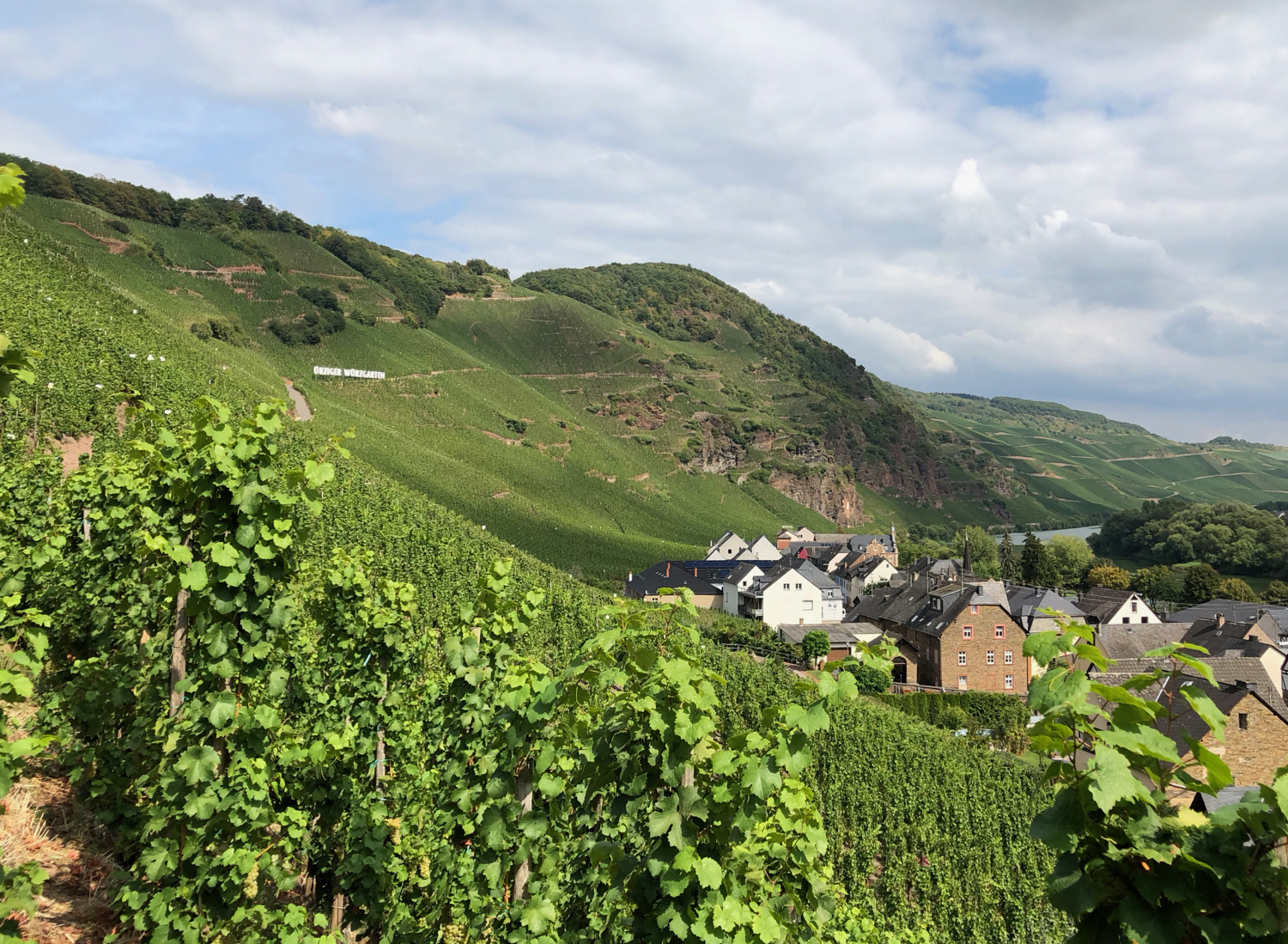 Duitsland: 5 hoogtepunten in de Moezelvallei | Bijzonder Plekje