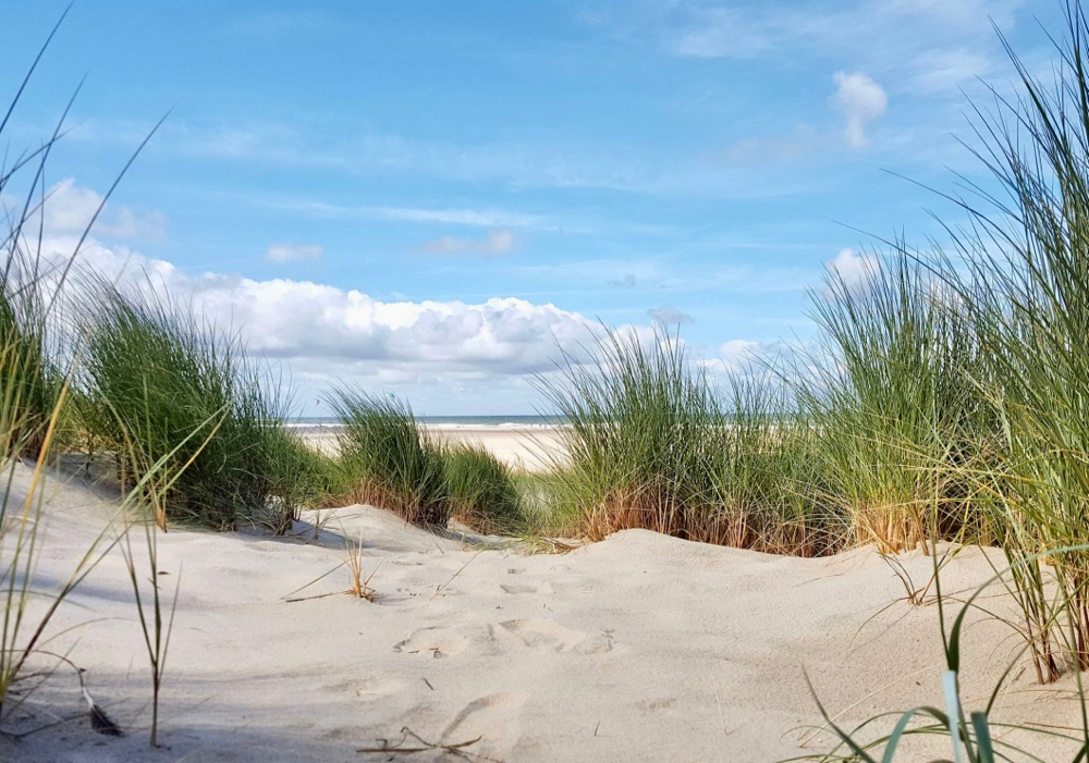 Tip: Liefde voor Waddeneiland Vlieland - klein maar fijn! Bijzonder Plekje