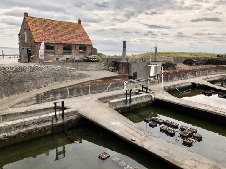 Zeeland: de Oesterij in Yerseke - proef & beleef | Bijzonder Plekje