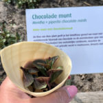 Eropuit: de tuinen van A. Vogel - leuk dagje uit | Bijzonder Plekje