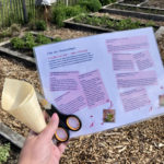 Eropuit: de tuinen van A. Vogel - leuk dagje uit | Bijzonder Plekje