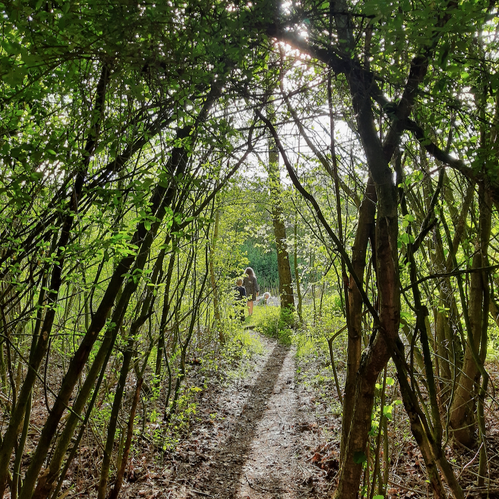 Boshut Timboektoe - offline logeren | Bijzonder Plekje