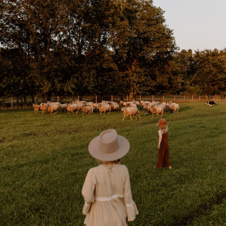 Tiny hotel The Farm - cabins in Brabant | Bijzonder Plekje