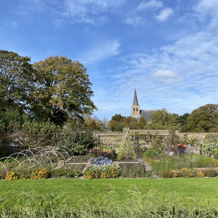 Ontdek Midden-Delfland - oase van groen | Bijzonder Plekje