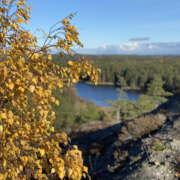 Zweden: Ontdek Dalsland met deze 8 tips - Bijzonder Plekje