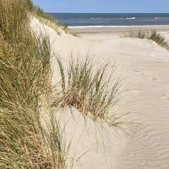 Bezoek het Westland met deze tips - Bijzonder Plekje