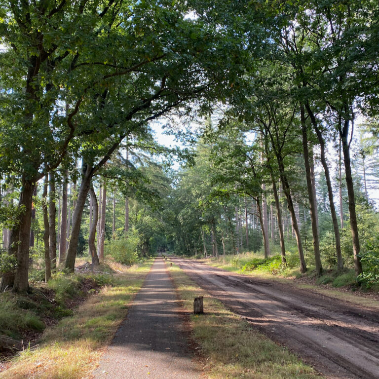 In de Heuvelrug - vakantiehuizen | Bijzonder Plekje