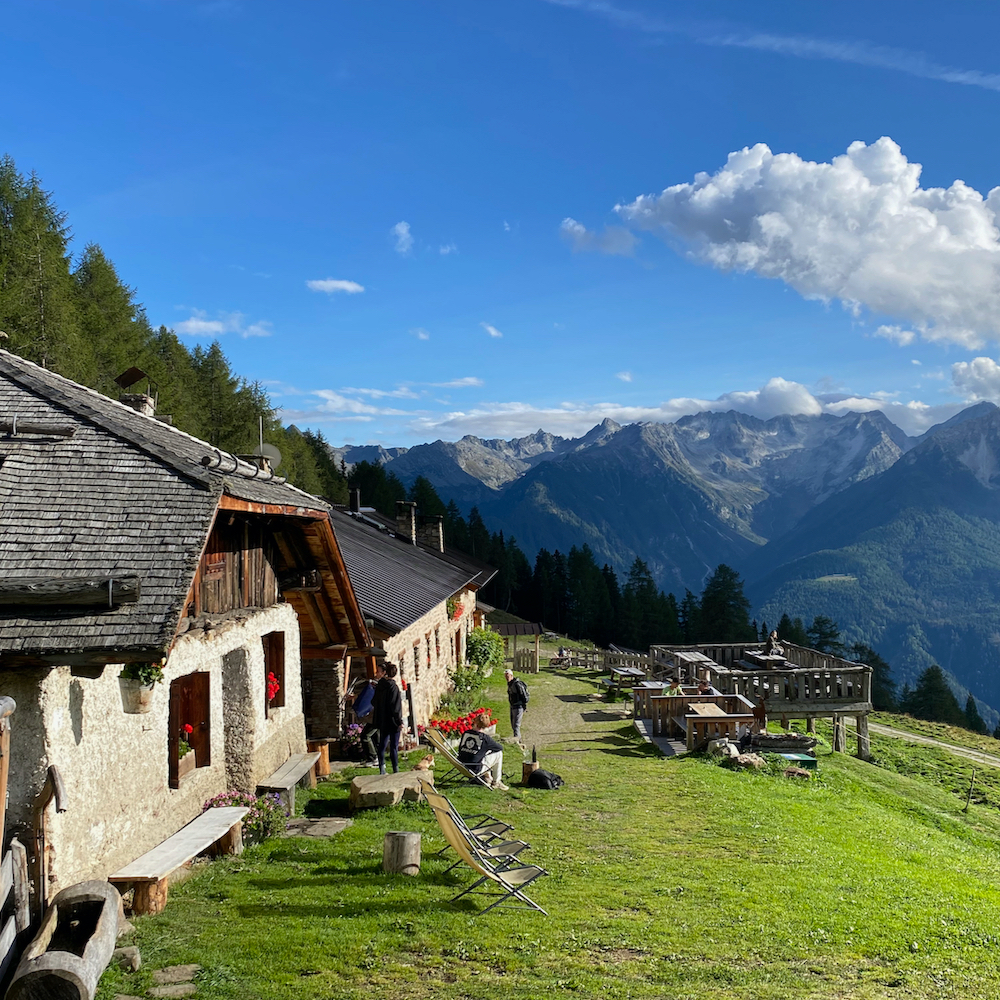NestAlp Malga Campo - agriturismo op bijna 2000 meter | Bijzonder Plekje